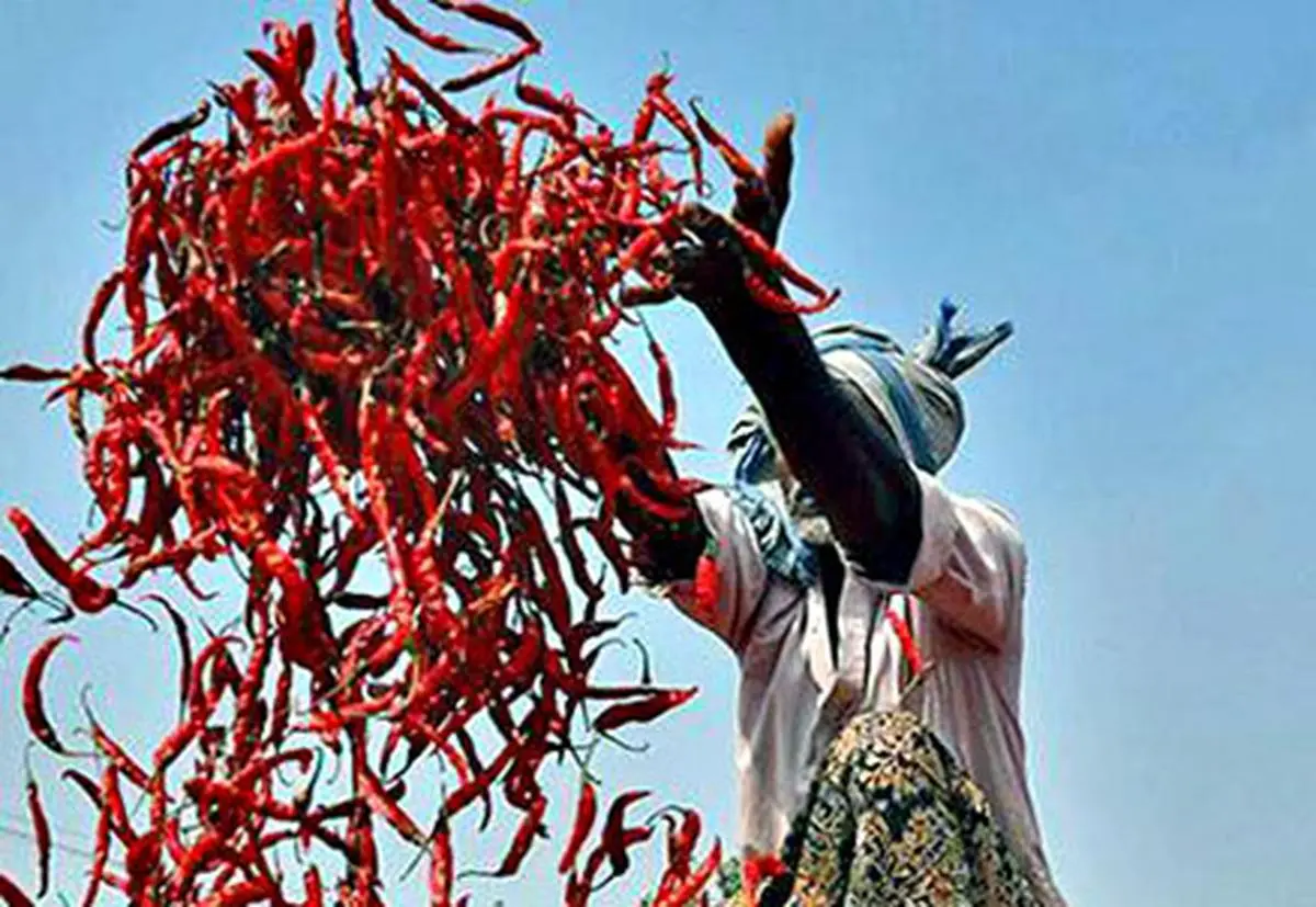 Telangana Farm Support Scheme Rythu Bharosa Faces Criticism Over Broken ...